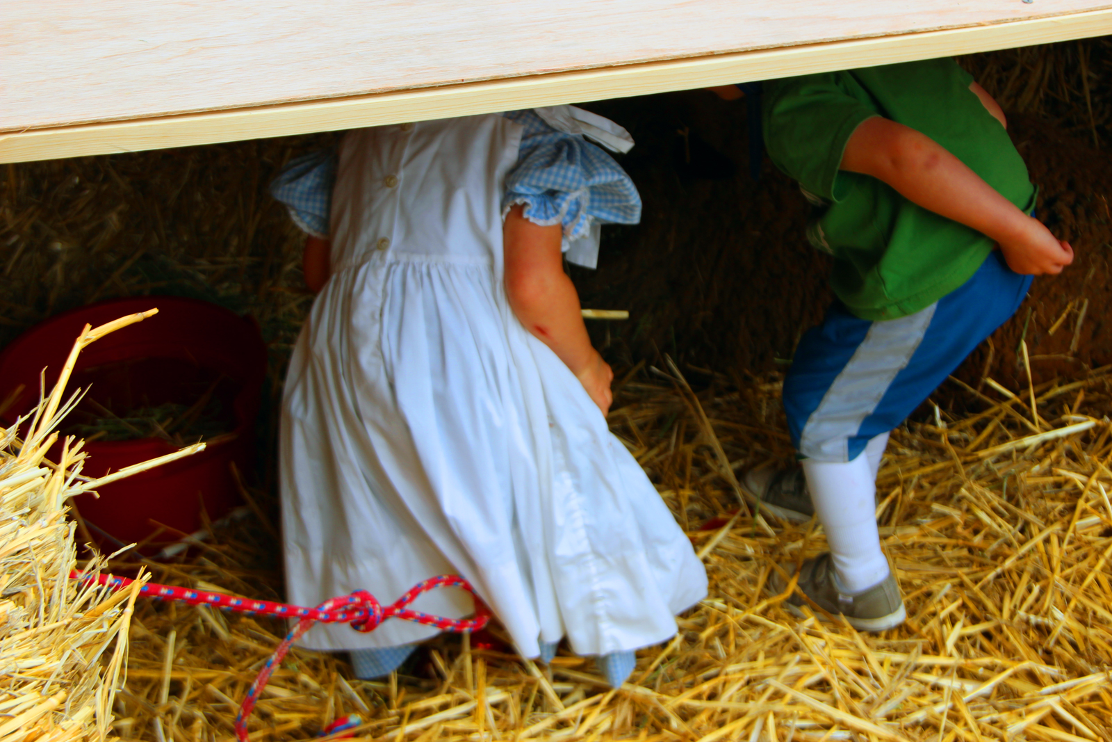 The Children Investigate... - Mission Local