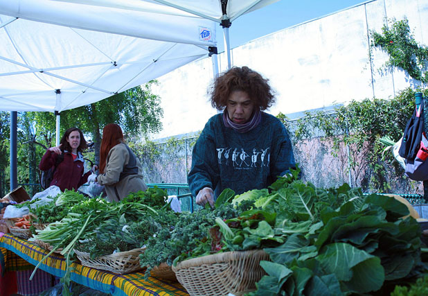 Park Official on Free Food Handouts at Park: No! - Mission Local