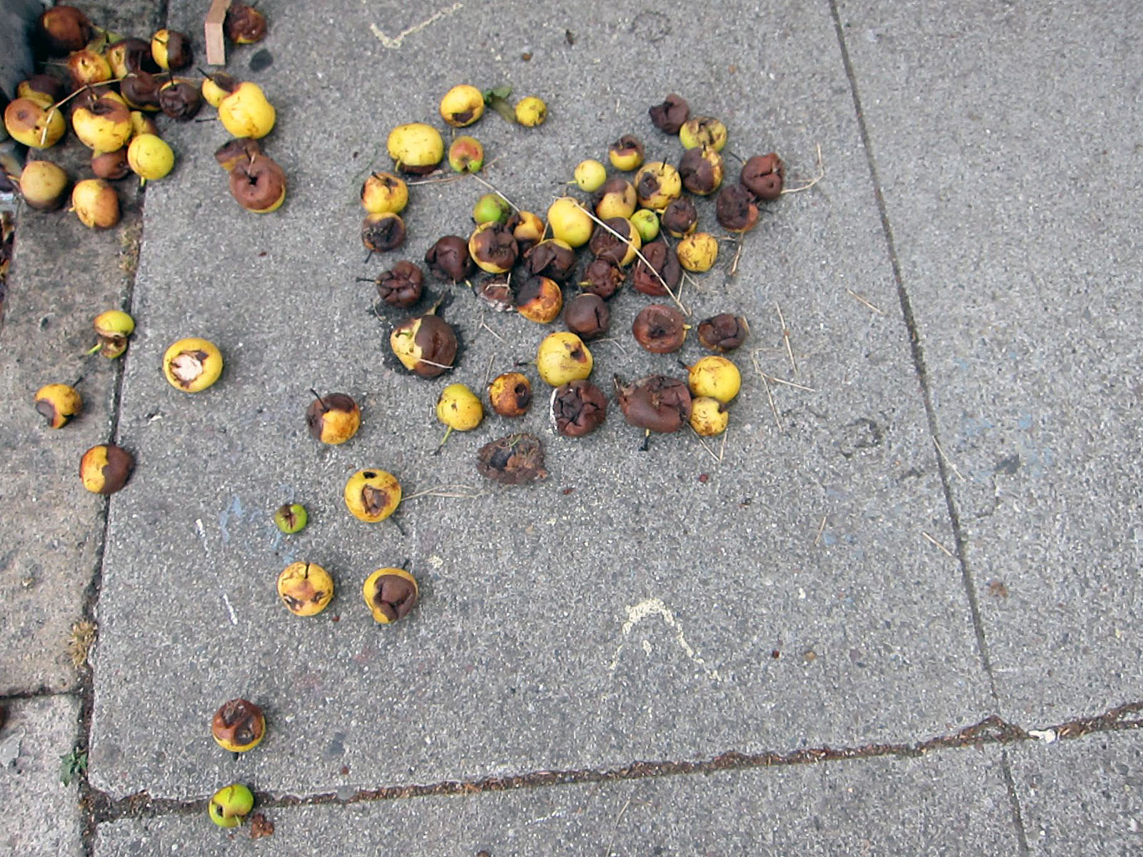 From Ripe to Rotten - Mission Local