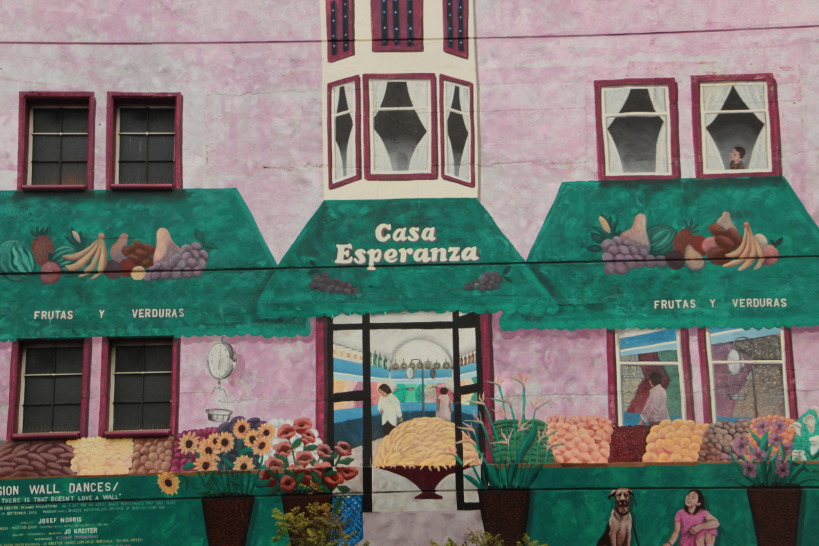 SNAP: Painted House of Hope - Mission Local