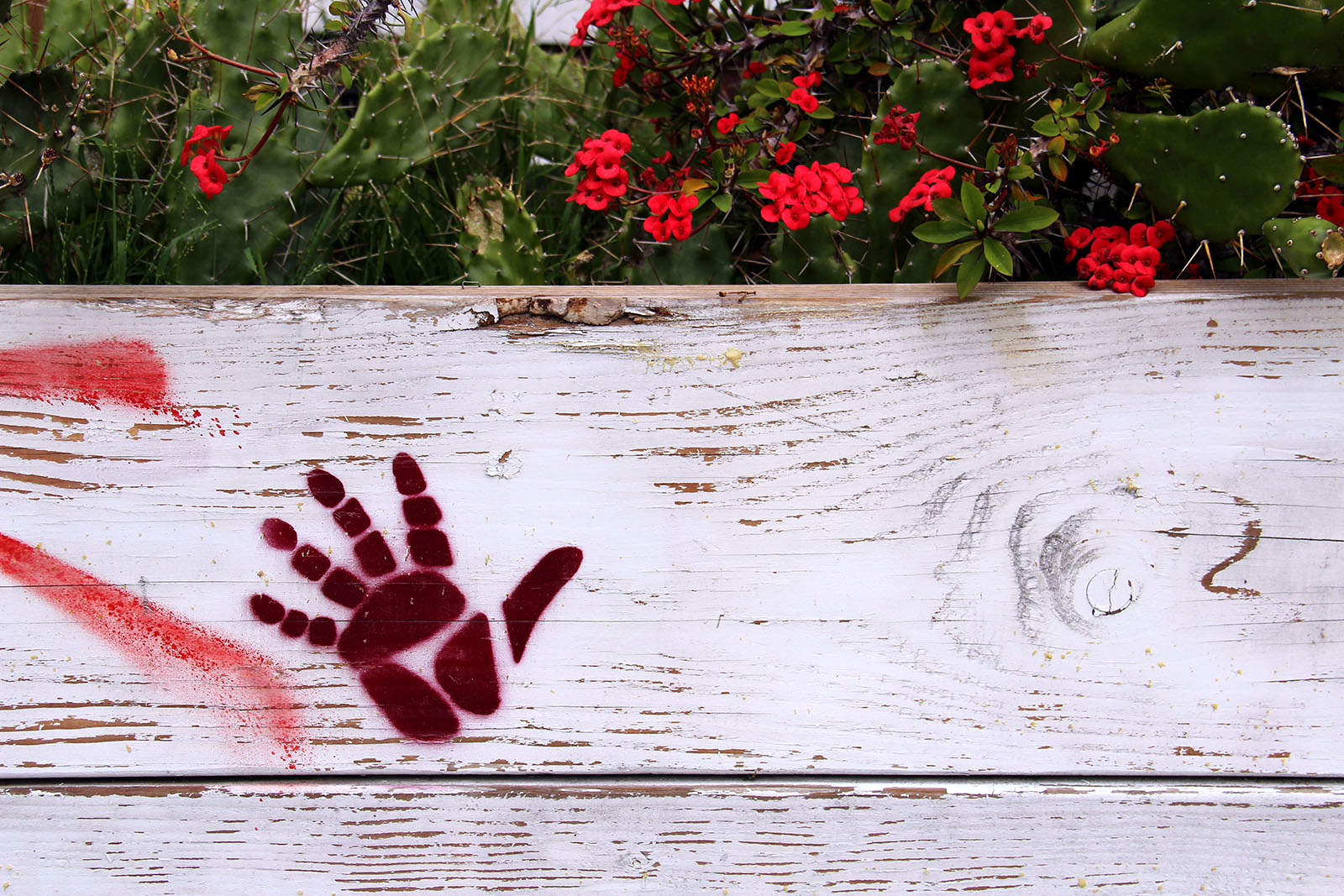 SNAP: Lending a Hand - Mission Local