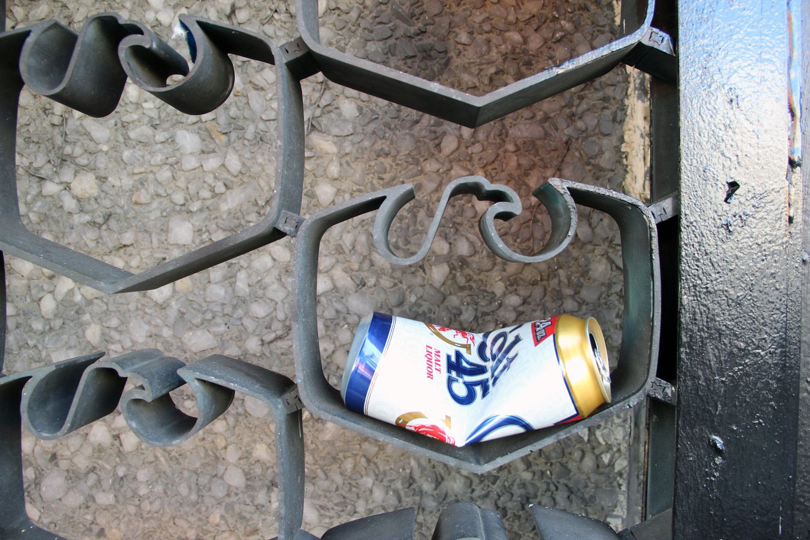 SNAP: Perfect Fit - Mission Local