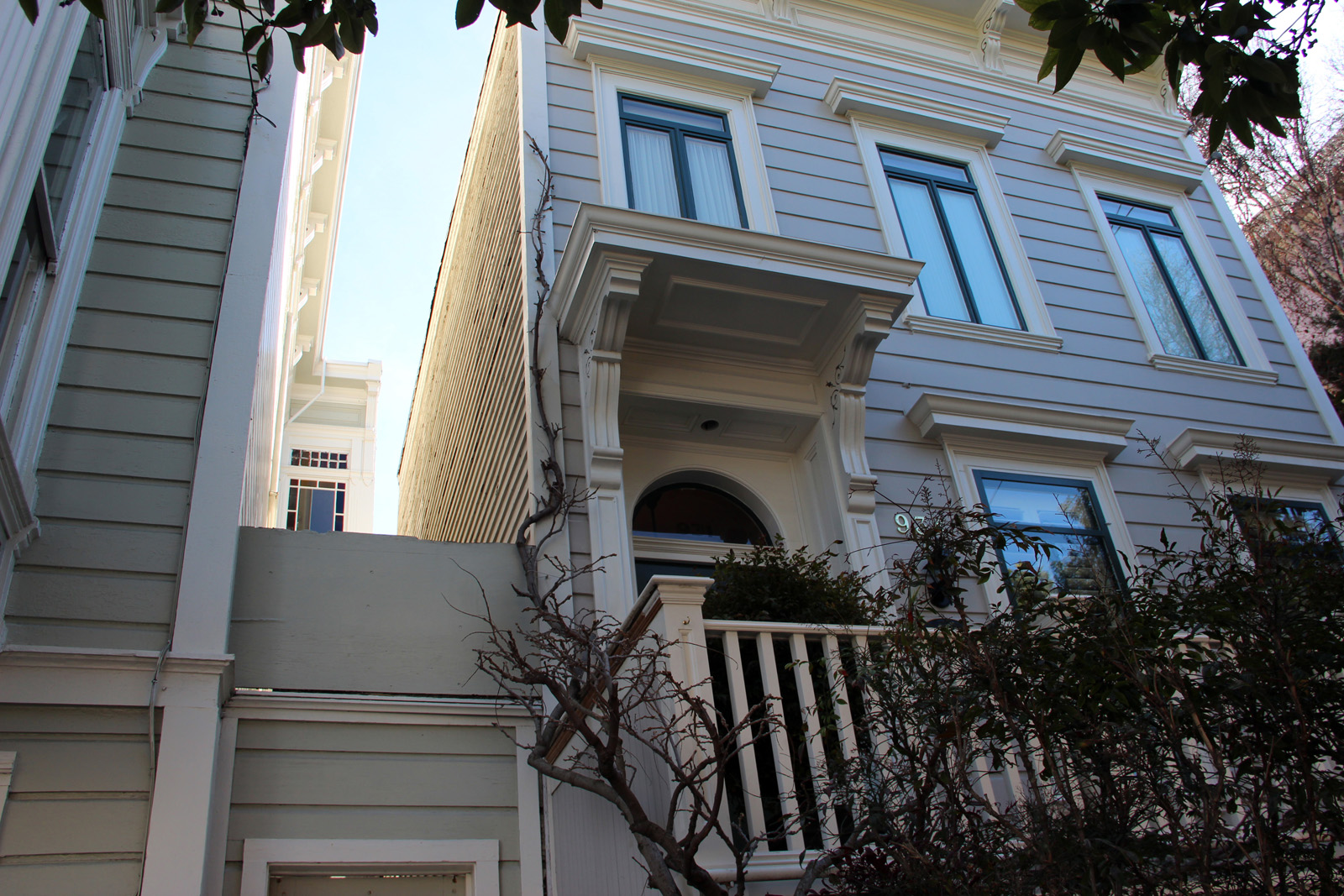 SNAP: The Branch that Reaches Up - Mission Local