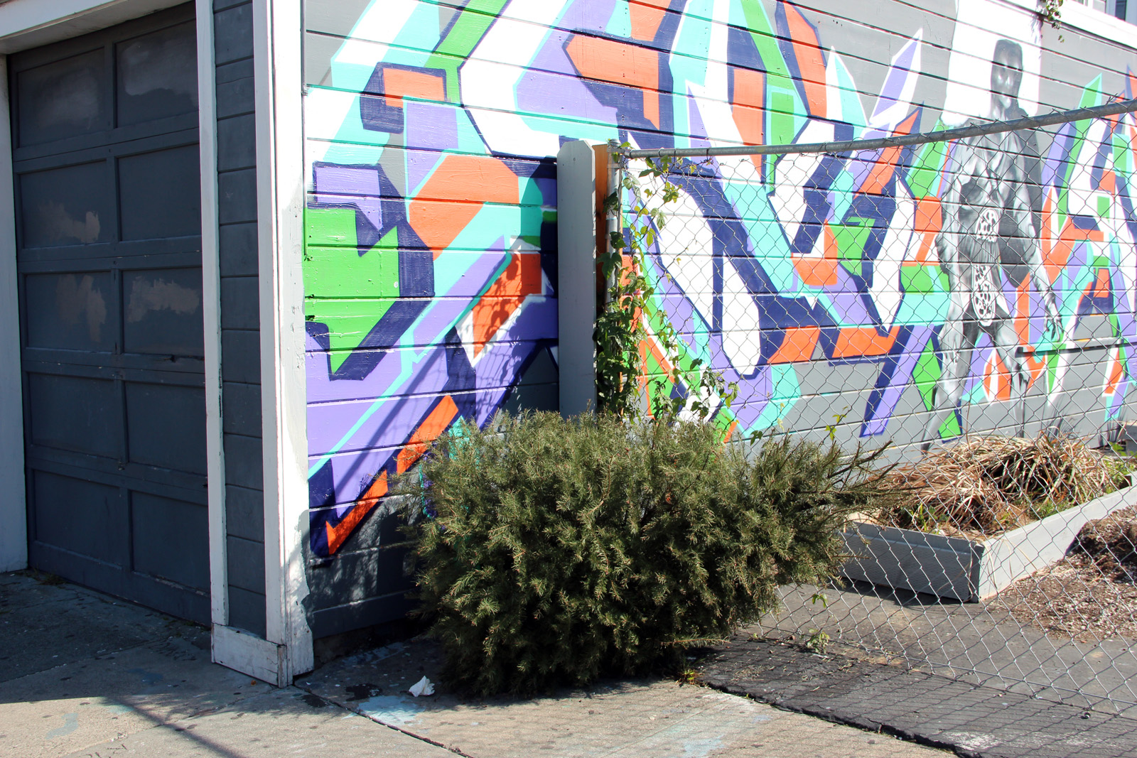 SNAP: The Trees Are Still Waiting - Mission Local