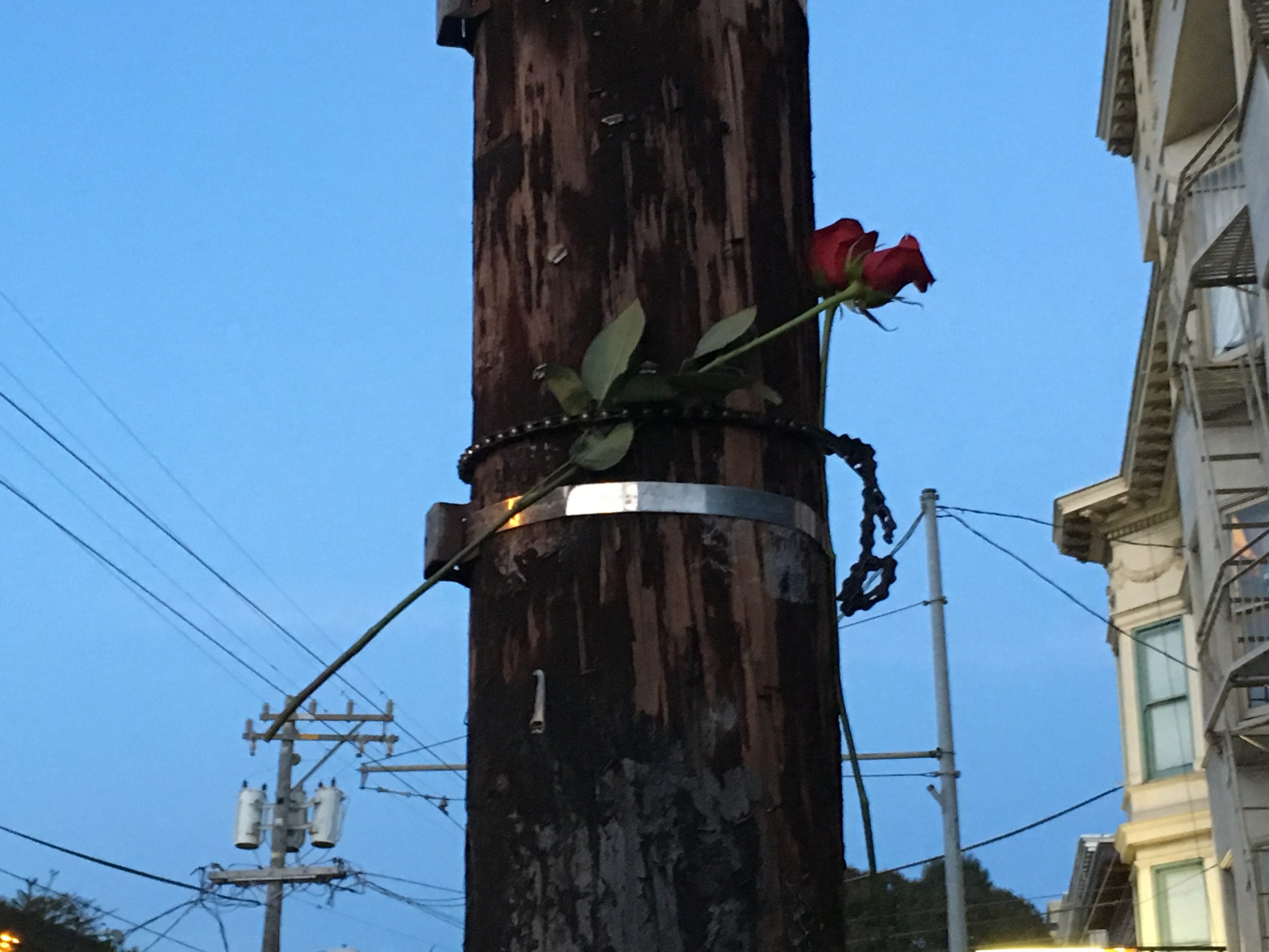 Man slain in homeless encampment remembered as burly protector ...