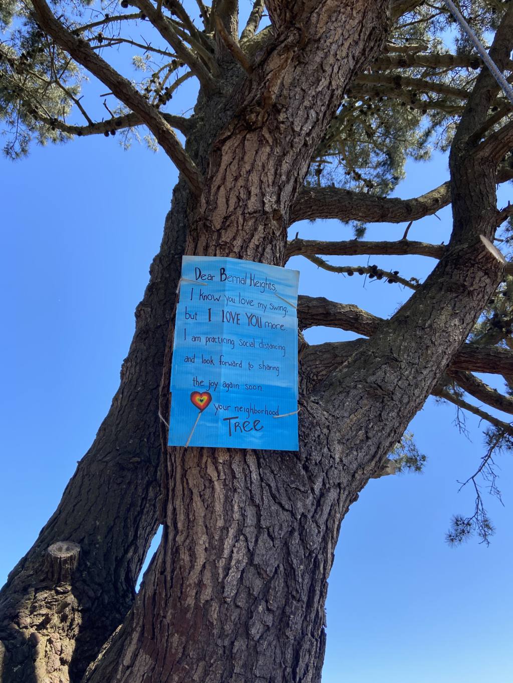 Snap: Note from a tree - Mission Local