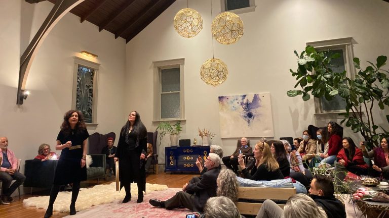 Mahsa Vahdat brings Iranian revolution to the Mission - Mission Local