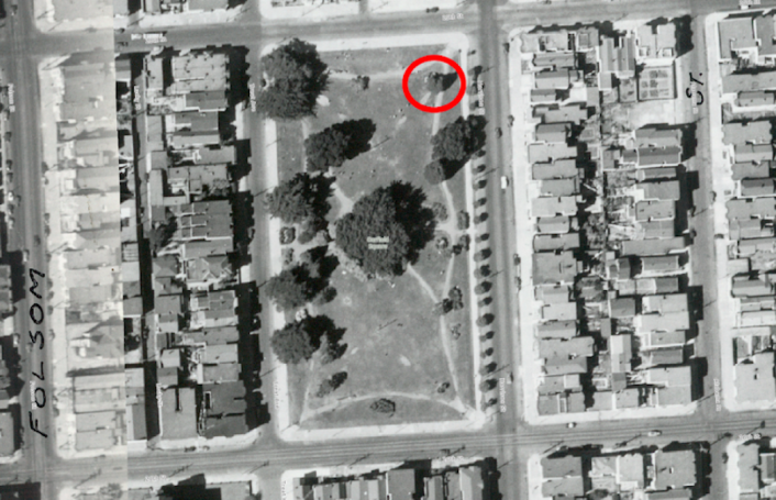 Wind splits giant sequoia that may date to 1884