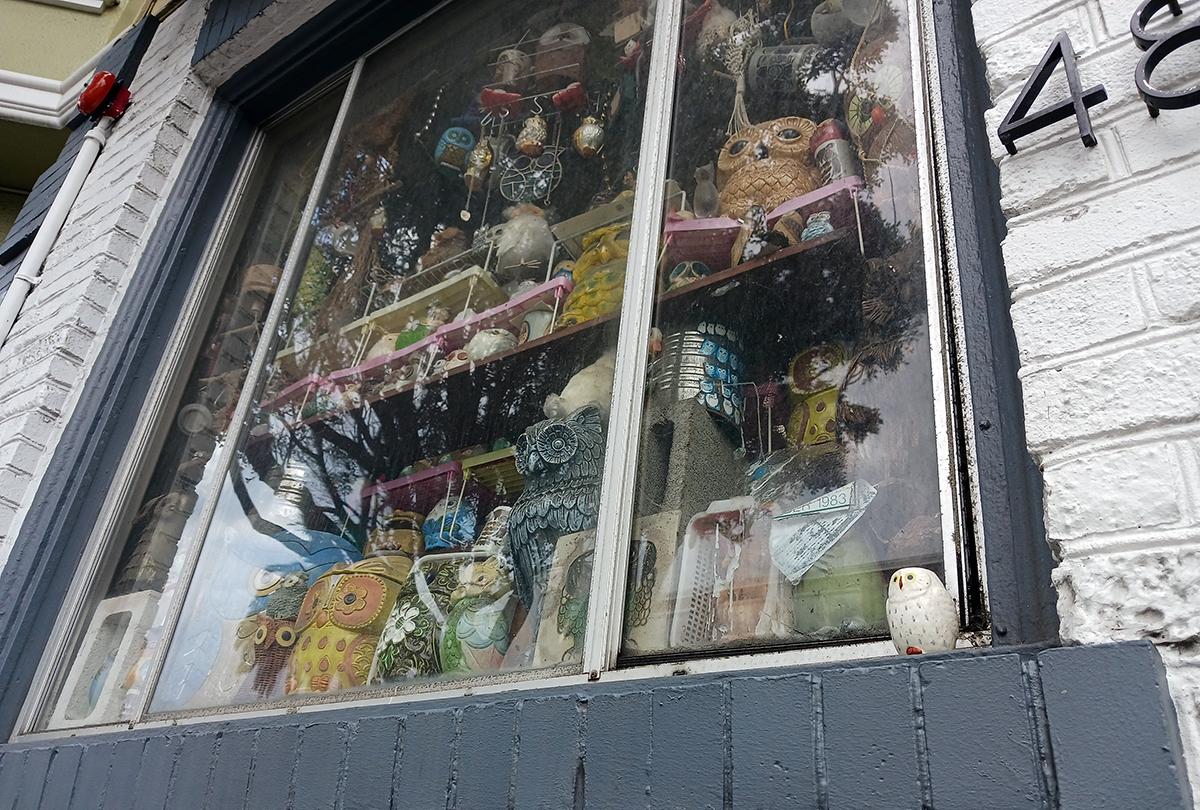 Lonely owl - Mission Local